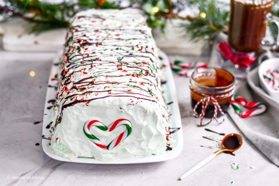 Christmas Ice Cream Recipes (Festive & Creamy Holiday Treats)