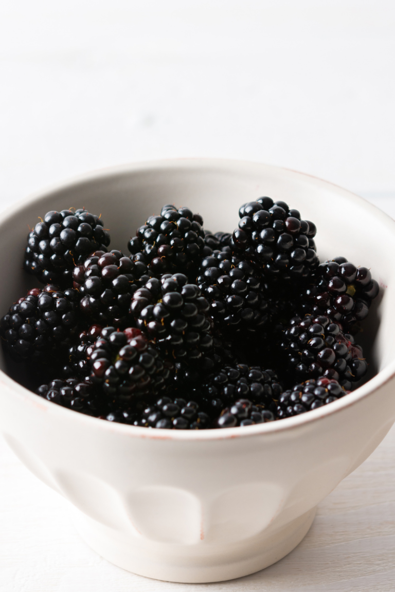 Blackberry Desserts: Irresistible Sweet Recipes for Any Occasion