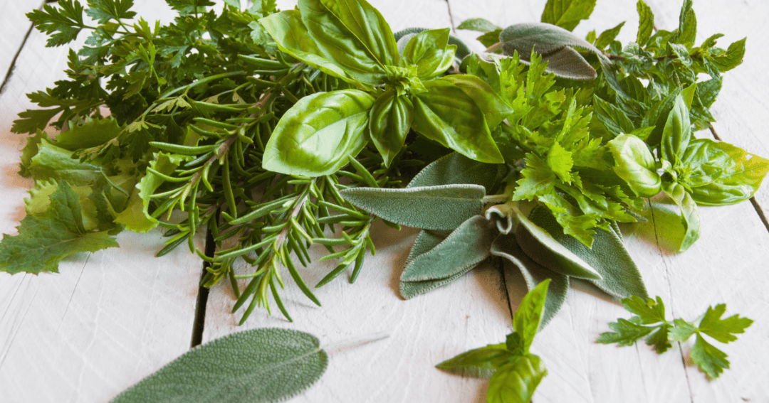 Best Herbs to Grow for Cooking - Elevate Your Culinary Game