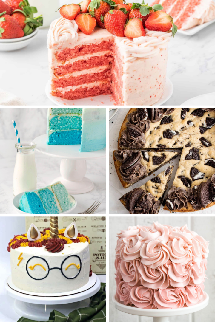 Have a Birthday Party Coming Up? Check Out These Homemade Birthday Cake ...