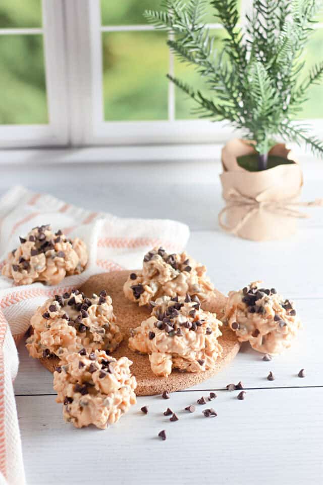 Summer Cookie Recipes for Picnics, BBQs & Parties