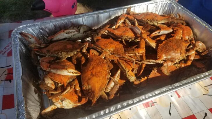 Crabbing Season NJ: The Ultimate Guide to Catching Crabs on the Jersey ...