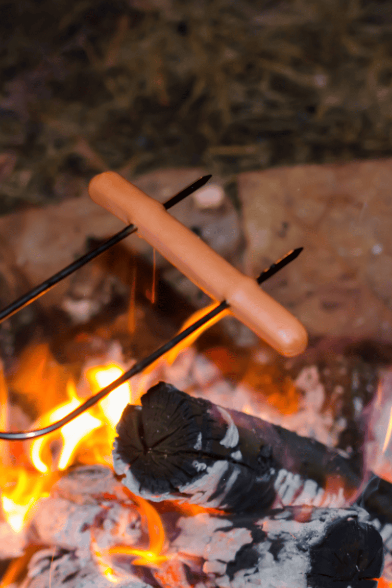 Top Easy 10 Campfire Snacks