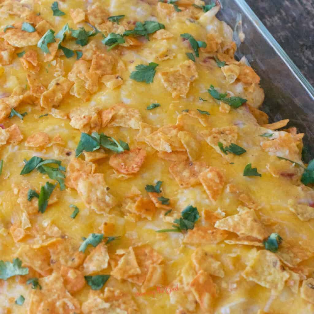 Rotel Recipes: Quick & Zesty Dishes (Fan Favorites)