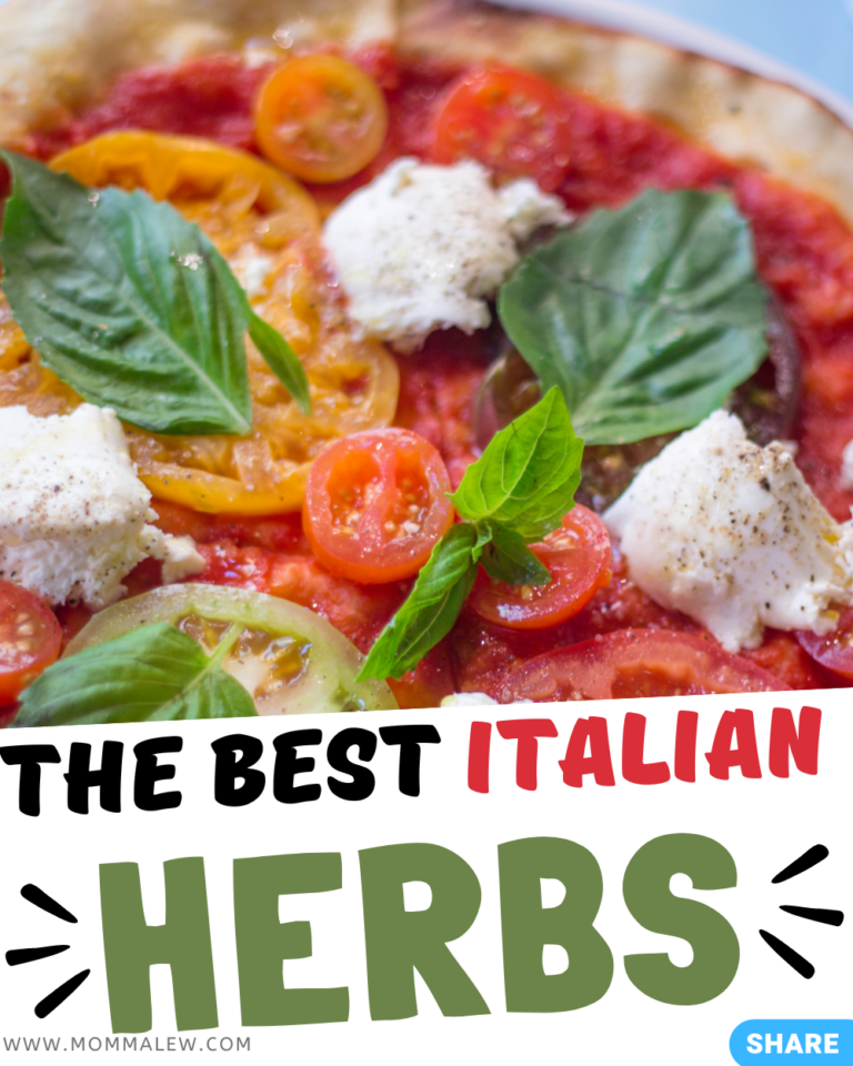 Herbs Used in Italian Cooking (Easy Guide + Tips)