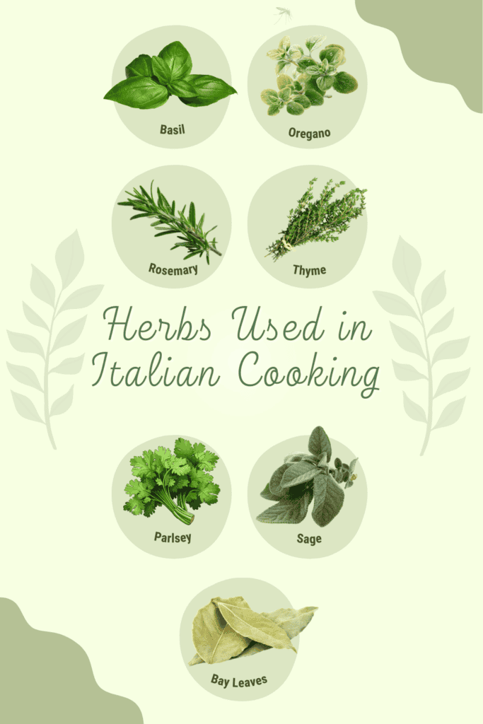 Herbs Used in Italian Cooking (Easy Guide + Tips)