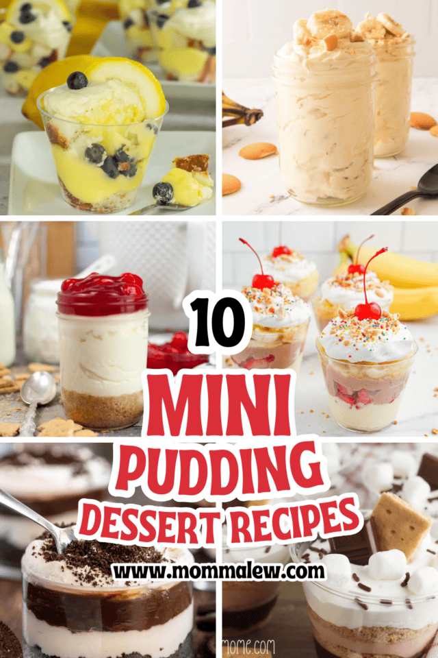 Delicious Individual Pudding Dessert Recipes for Any Occasion